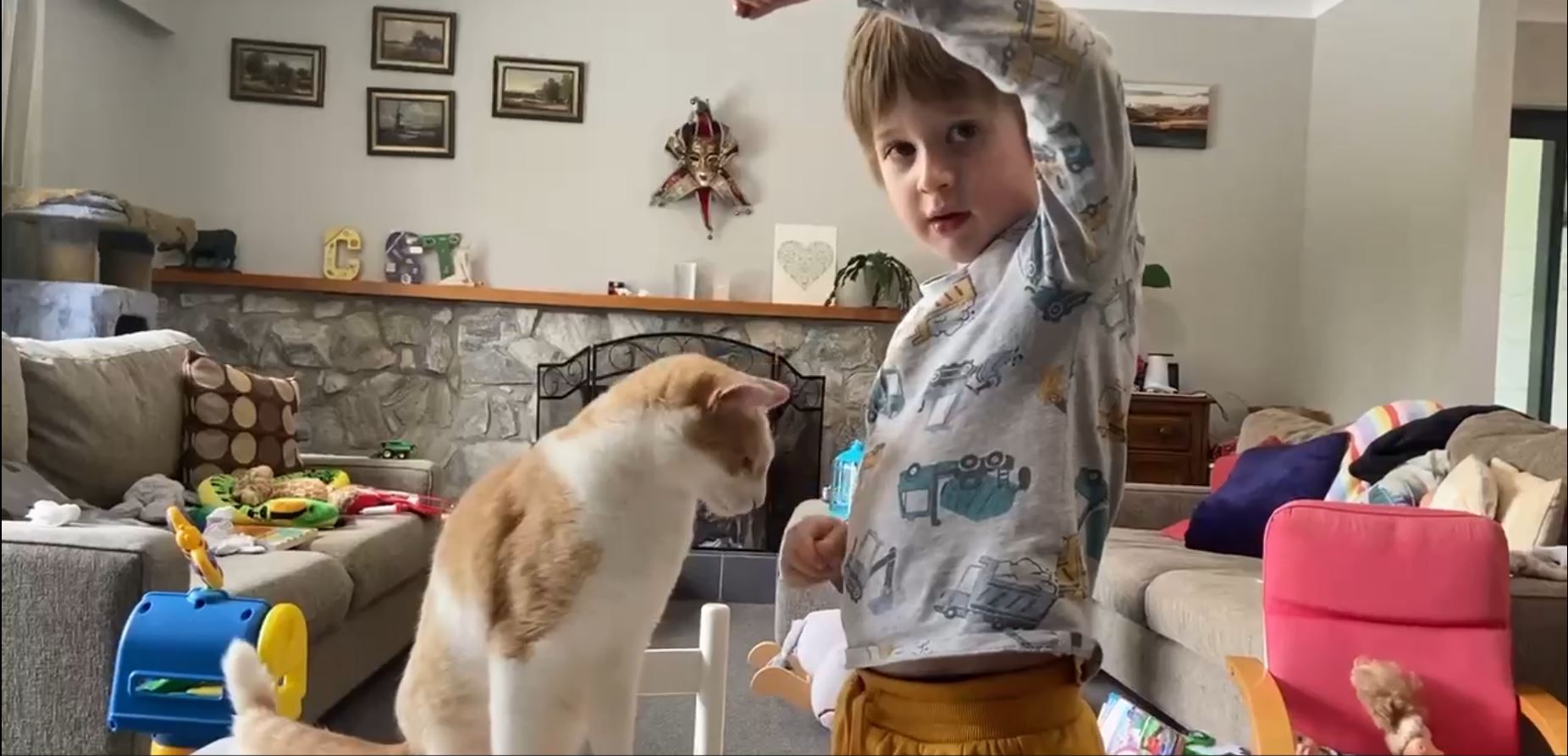 Reserve Supremes – Kiwi Katz Virtual Cat Show